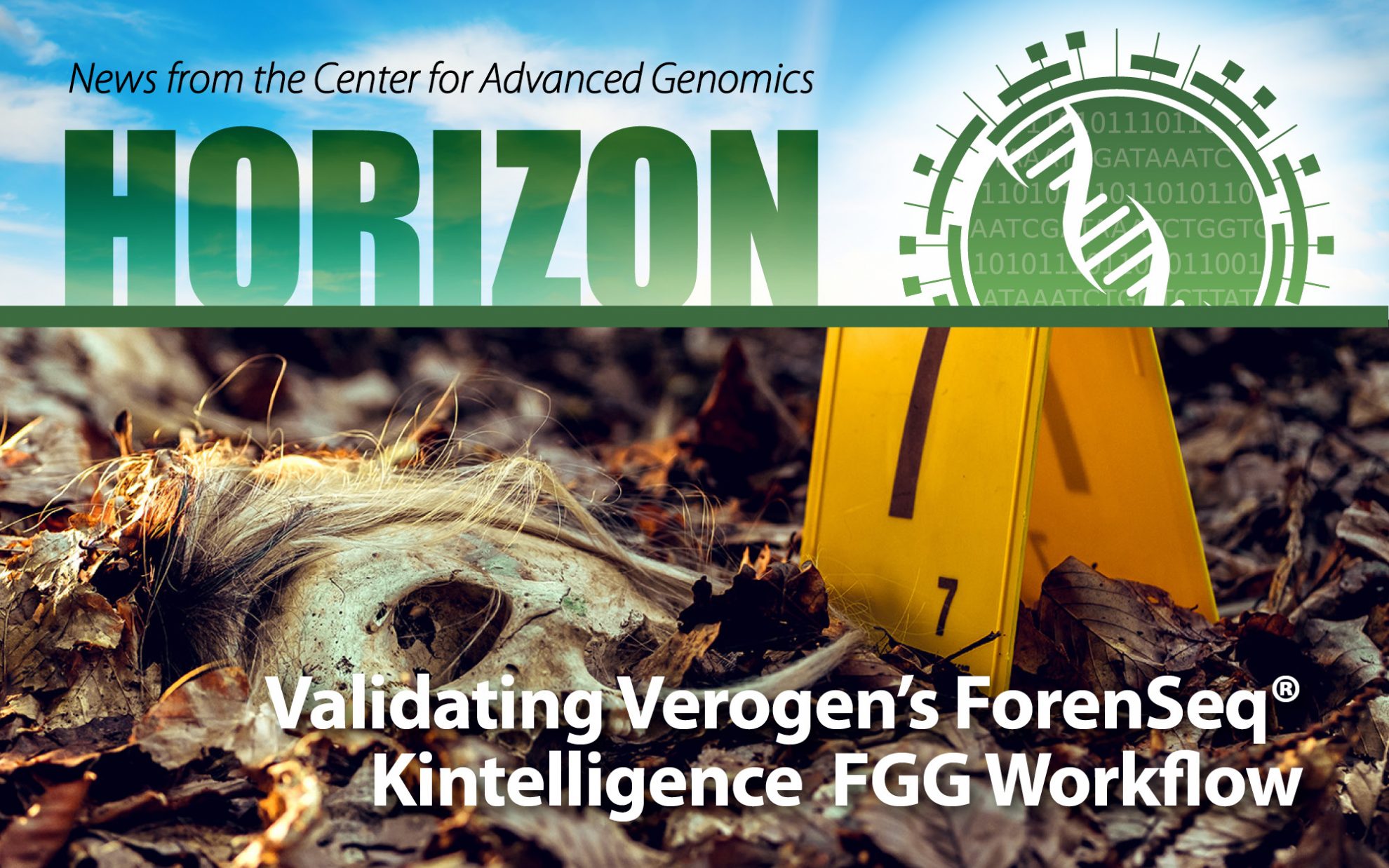 Horizon: Validating Verogen’s ForenSeq® Kintelligence FGG Workflow ...