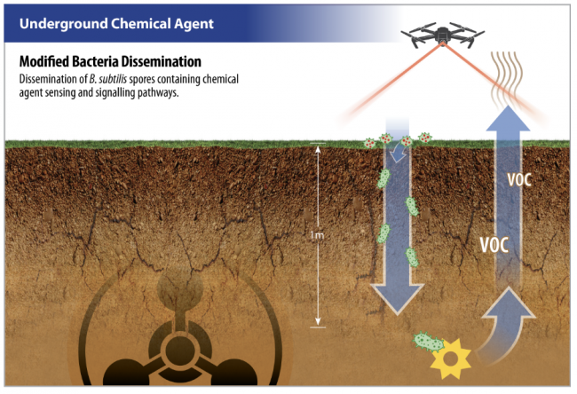 SpADe (Spore-Phage Amplified Detection) Leverages Phage Biology to ...