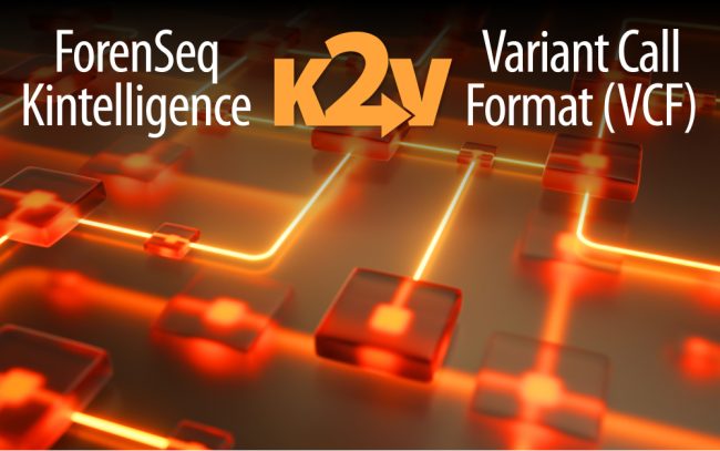 k2v: A Containerized Workflow for Creating VCF Files from Kintelligence ...