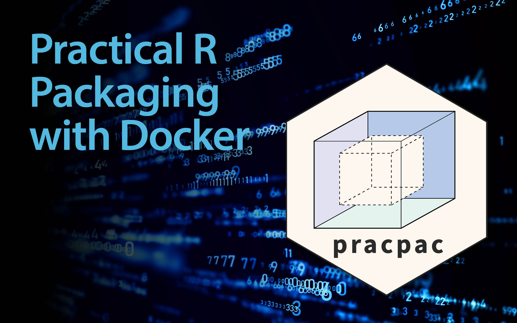 pracpac: Practical R Packaging with Docker – Signature Science