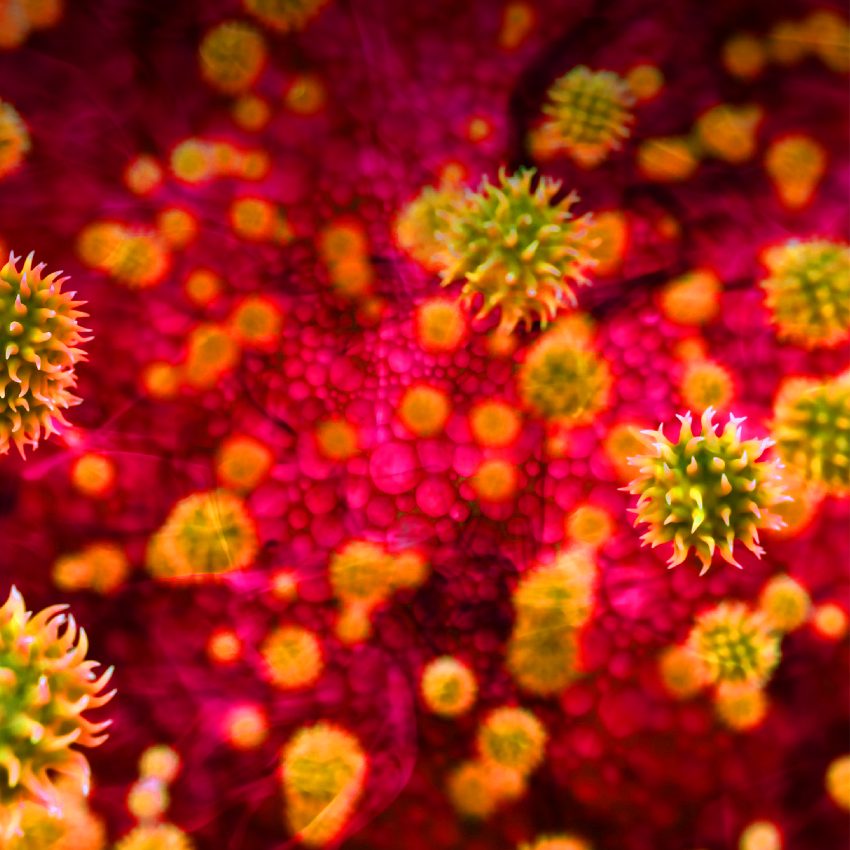 Biosecurity and Emerging Threats – Signature Science